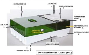 3 Advantages to a Self-Watering Sprout Growing Machine