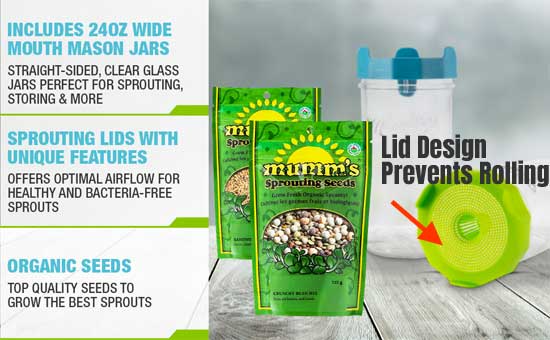 Complete Mason Jar Sprouting Kit for Fool-Proof Growing